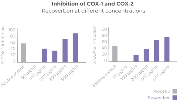 Recoverben | Lemon verbena extract for muscle recovery - Fytexia